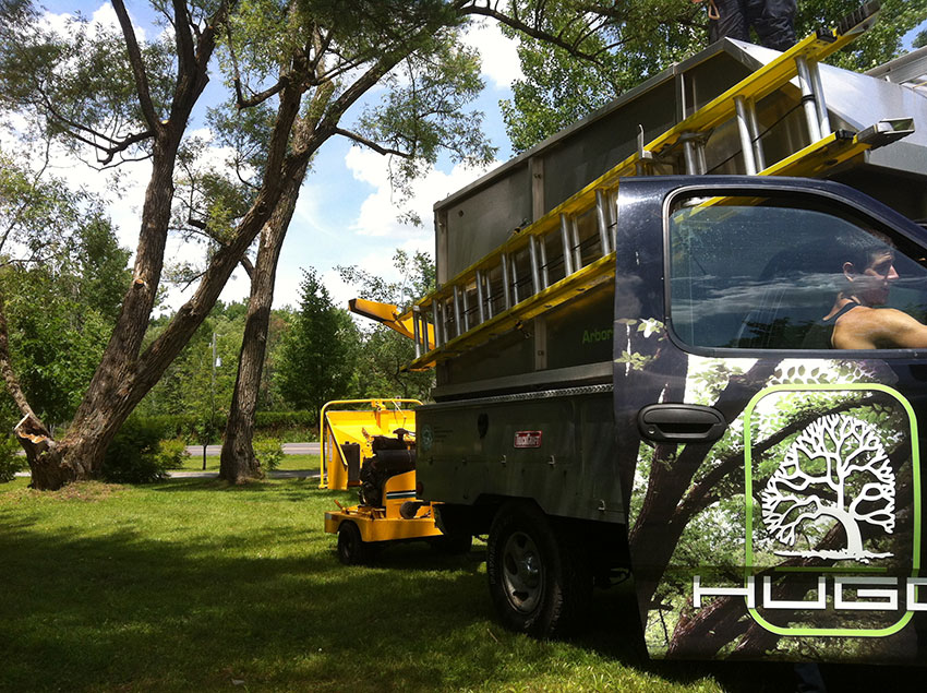 - Services d'arbres Hugo